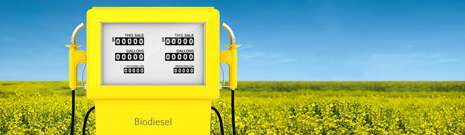 U.S. Energy Information Administration (EIA)